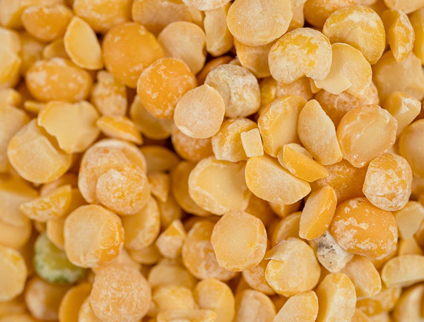 Yellow Dhall/Yellow Split Pea | THC Sdn Bhd
